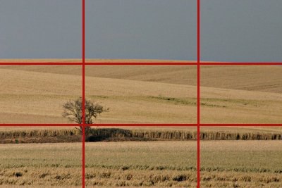 Astuce no. 1 : les lignes de force